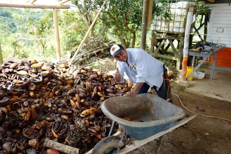 Our Innovation: Cacao Pod Husk Recycling - Cacao Betulia
